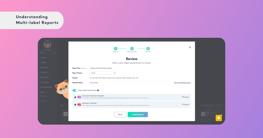 Understanding Multi-label Reports - Kimola Support